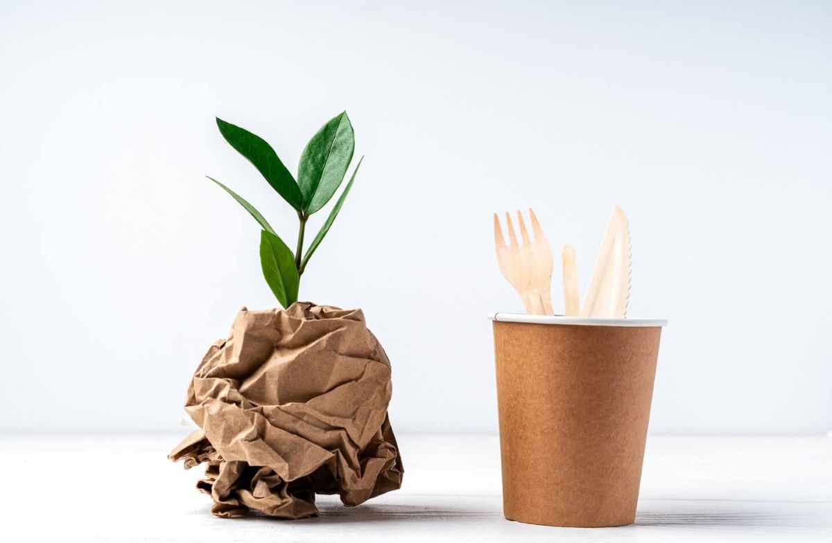 Compostable VS biodegradable: todas las diferencias - Uniuso